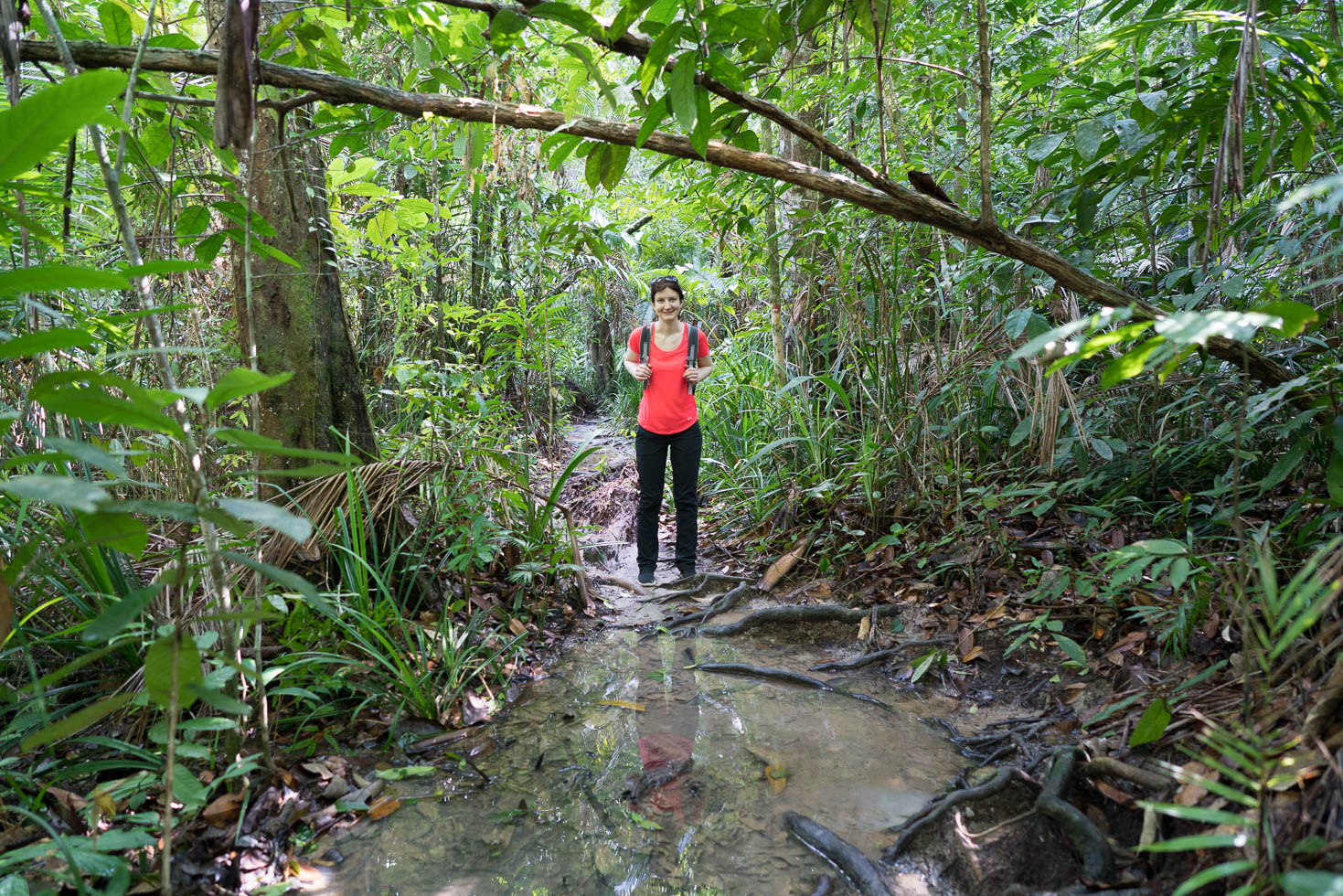 Jungle Trekking in Penang - Here to Elsewhere